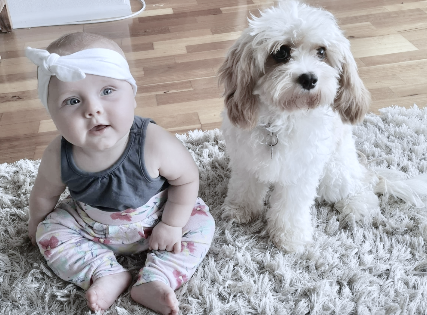 RPBA Member Reviews - RPBA Blog