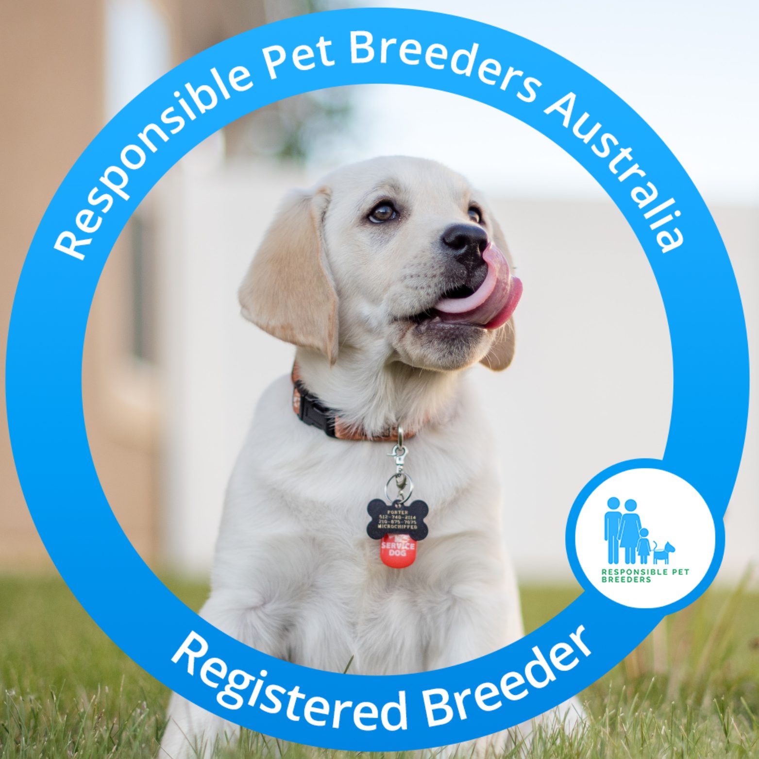 RPBA Social Media Profile Frame - Responsible Pet Breeders