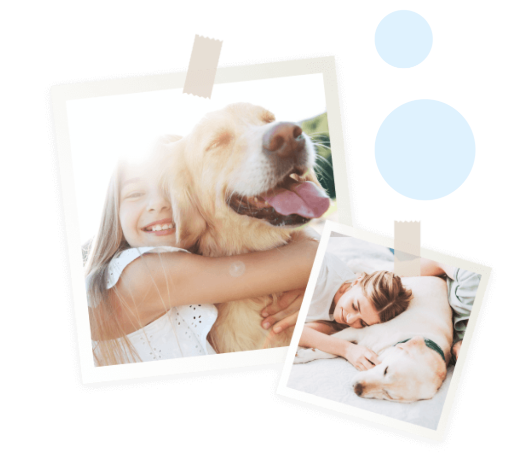 Responsible Pet Breeders Australia (RPBA)