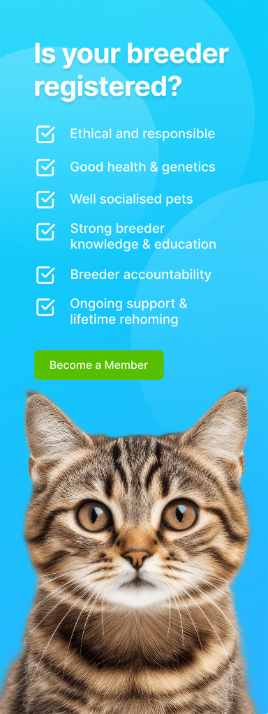 Registered Cat Breeders - Responsible Pet Breeders Australia
