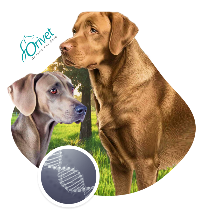 Orivet Discount - Responsible Pet Breeders