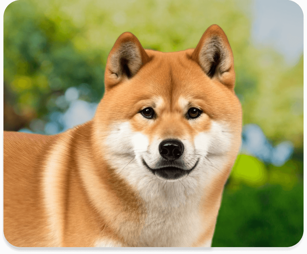 RPBA Breeds and Breeder List - Responsible Pet Breeders