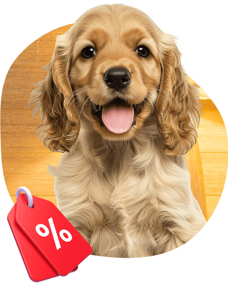 Nicole and Baby Discount - Responsible Pet Breeders