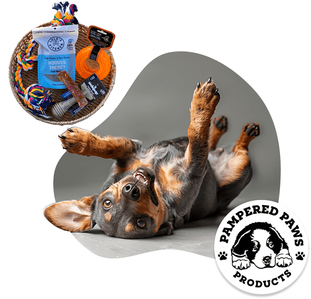 Pampered Paws Discount - Responsible Pet Breeders
