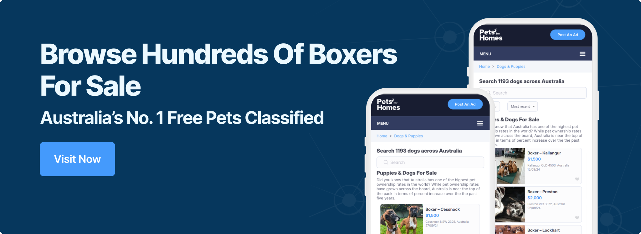 Boxer Breed Guide - Responsible Pet Breeders Australia